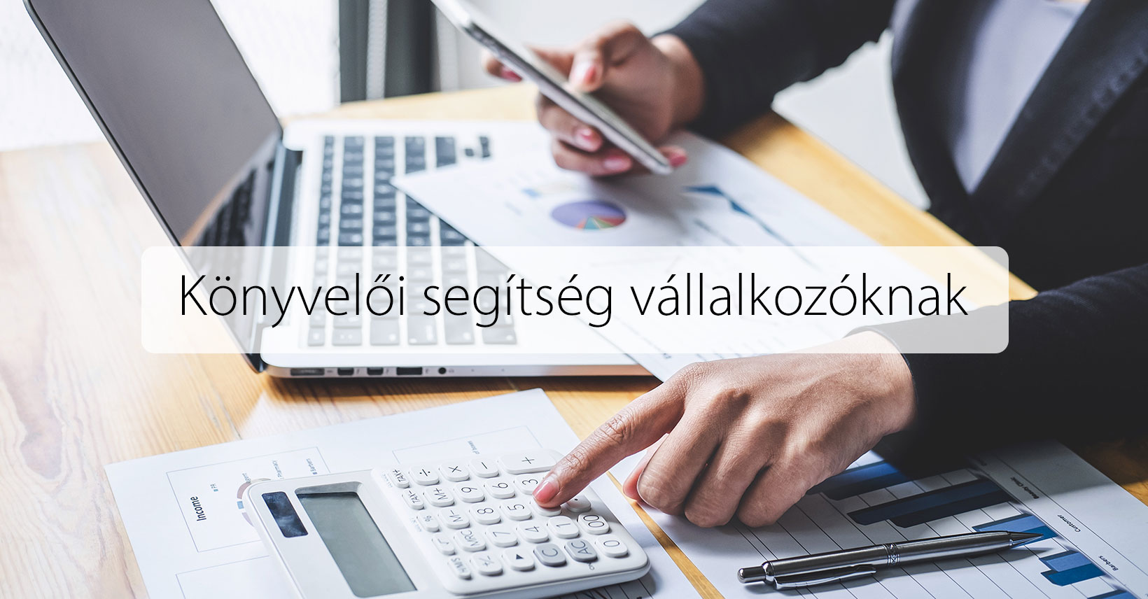 Ingyenes tanulmány – Mikro cégek és egyéni vállalkozások könyvelője ...